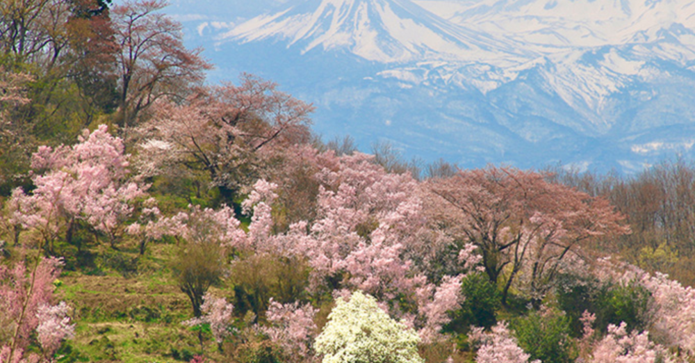 Springtime Prep for Skin and Body – LANSHIN